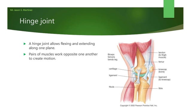 Presentation file about biomechanics.ppt | Bone and Joint Conditions | Diseases and Conditions
