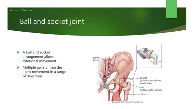 Presentation file about biomechanics.ppt | Bone and Joint Conditions | Diseases and Conditions