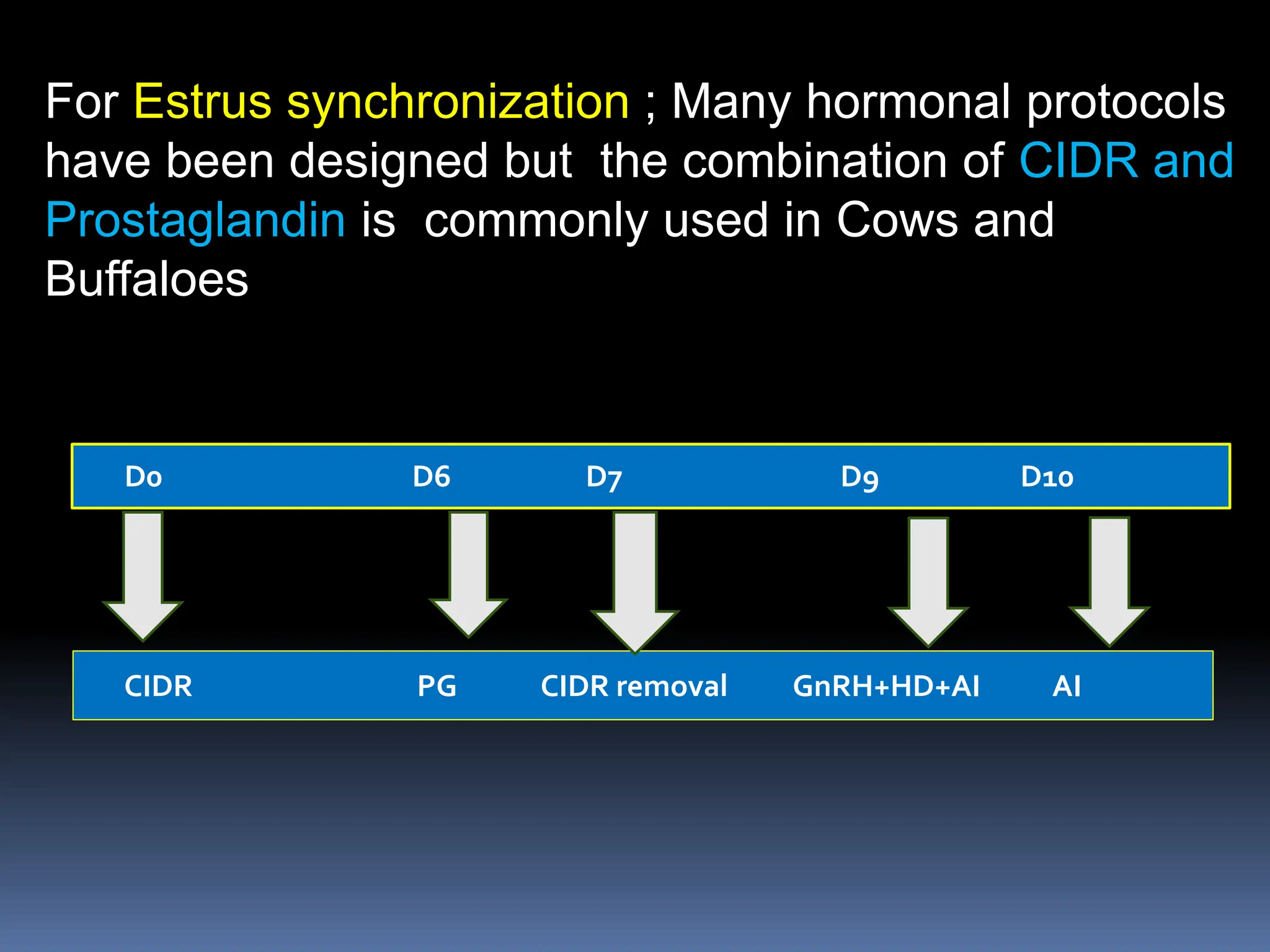 Impact Of Estrous Synchronization Protocols On Estrus Response And Conception In Buffalo A