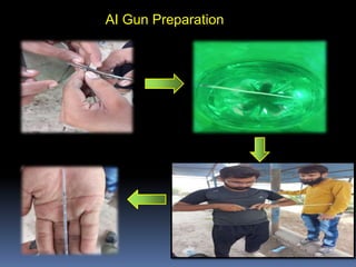 Impact of Estrous Synchronization Protocols on Estrus response and conception in buffalo : A ...