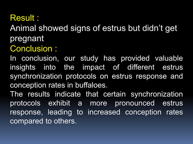 Impact Of Estrous Synchronization Protocols On Estrus Response And Conception In Buffalo A