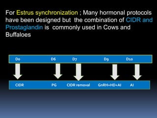 Impact of Estrous Synchronization Protocols on Estrus response and conception in buffalo : A ...