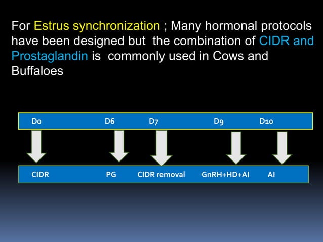 Impact of Estrous Synchronization Protocols on Estrus response and conception in buffalo : A ...