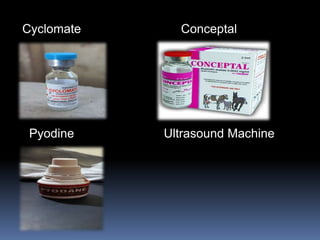 Impact of Estrous Synchronization Protocols on Estrus response and conception in buffalo : A ...