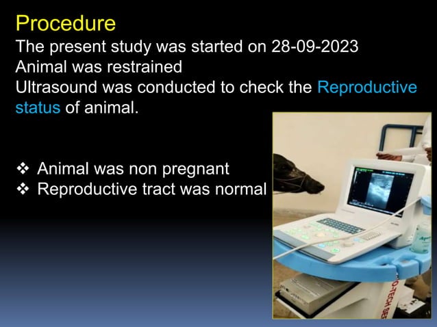 Impact Of Estrous Synchronization Protocols On Estrus Response And Conception In Buffalo A