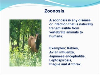 Zoonoses: A multi-dimensional public health problem in India | PPT