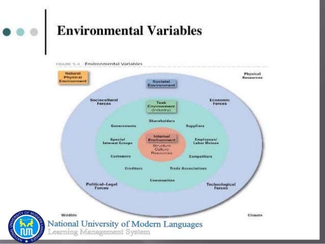 Environmental Variables Of Strategic Management