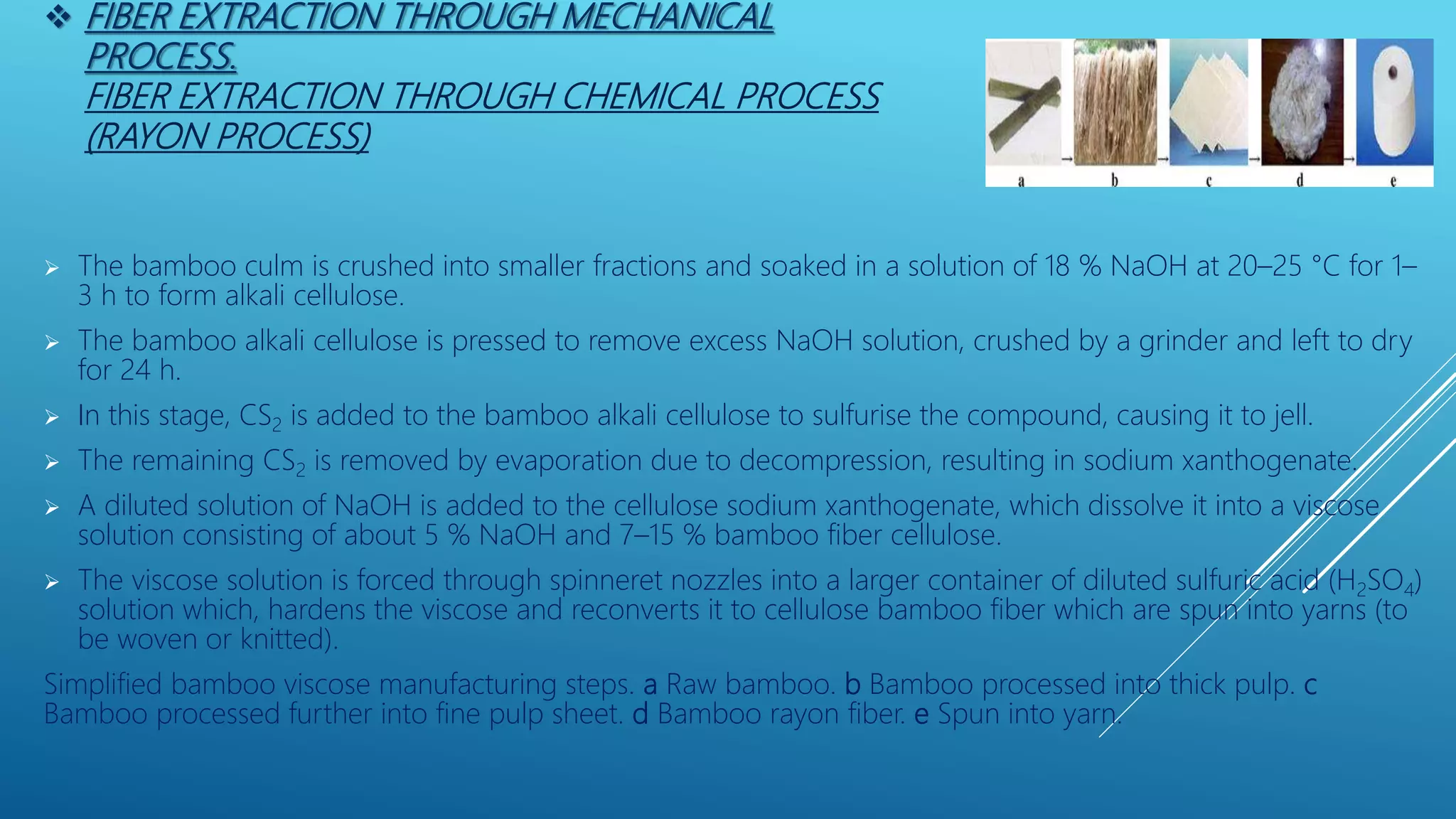 Bamboo fibre processing | PPTX