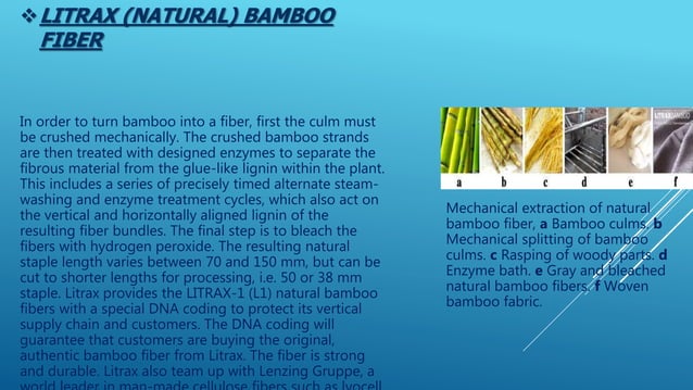 Bamboo fibre processing | PPTX