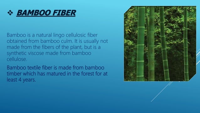 Bamboo fibre processing | PPTX