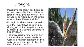 Climate Change In Pakistan | PPTX