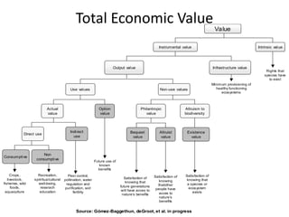 Economics of Ecosystem and Biodiversity | PPTX