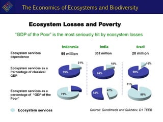 Economics of Ecosystem and Biodiversity | PPTX