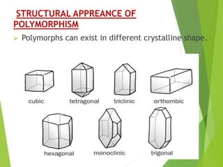 A Presentation on Polymorphism | PPTX