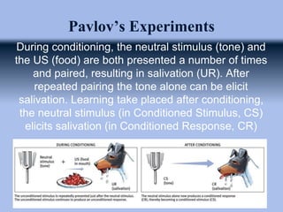 Classical Conditioning according to Pavlov and J.b Waston | PPTX ...