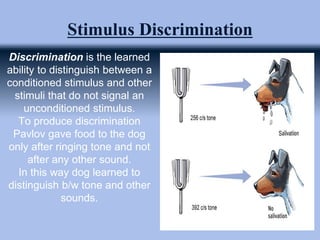 Classical Conditioning according to Pavlov and J.b Waston | PPTX ...