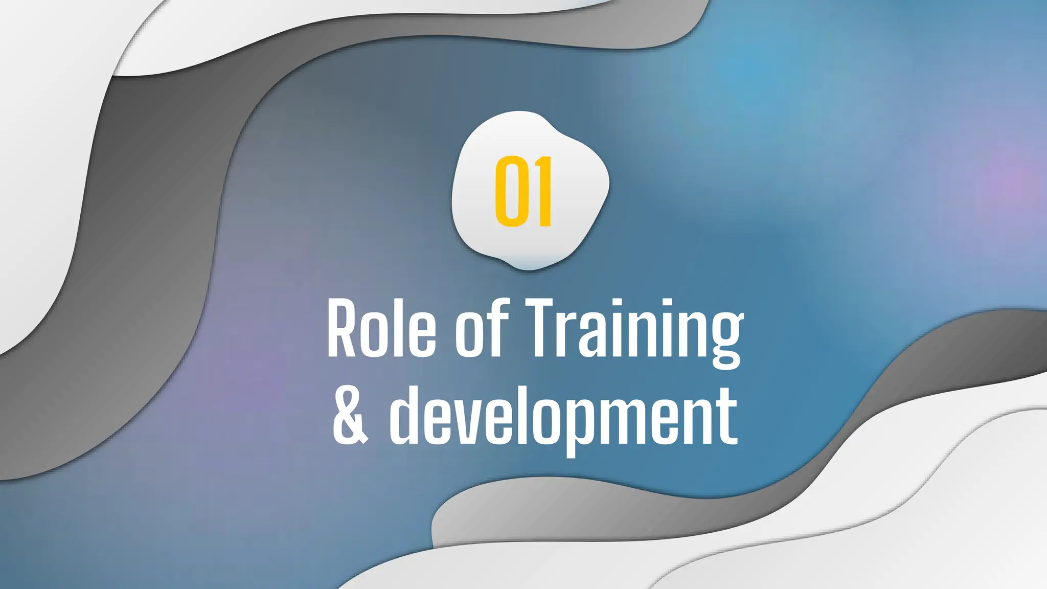 presentation finalon training and development.pptx