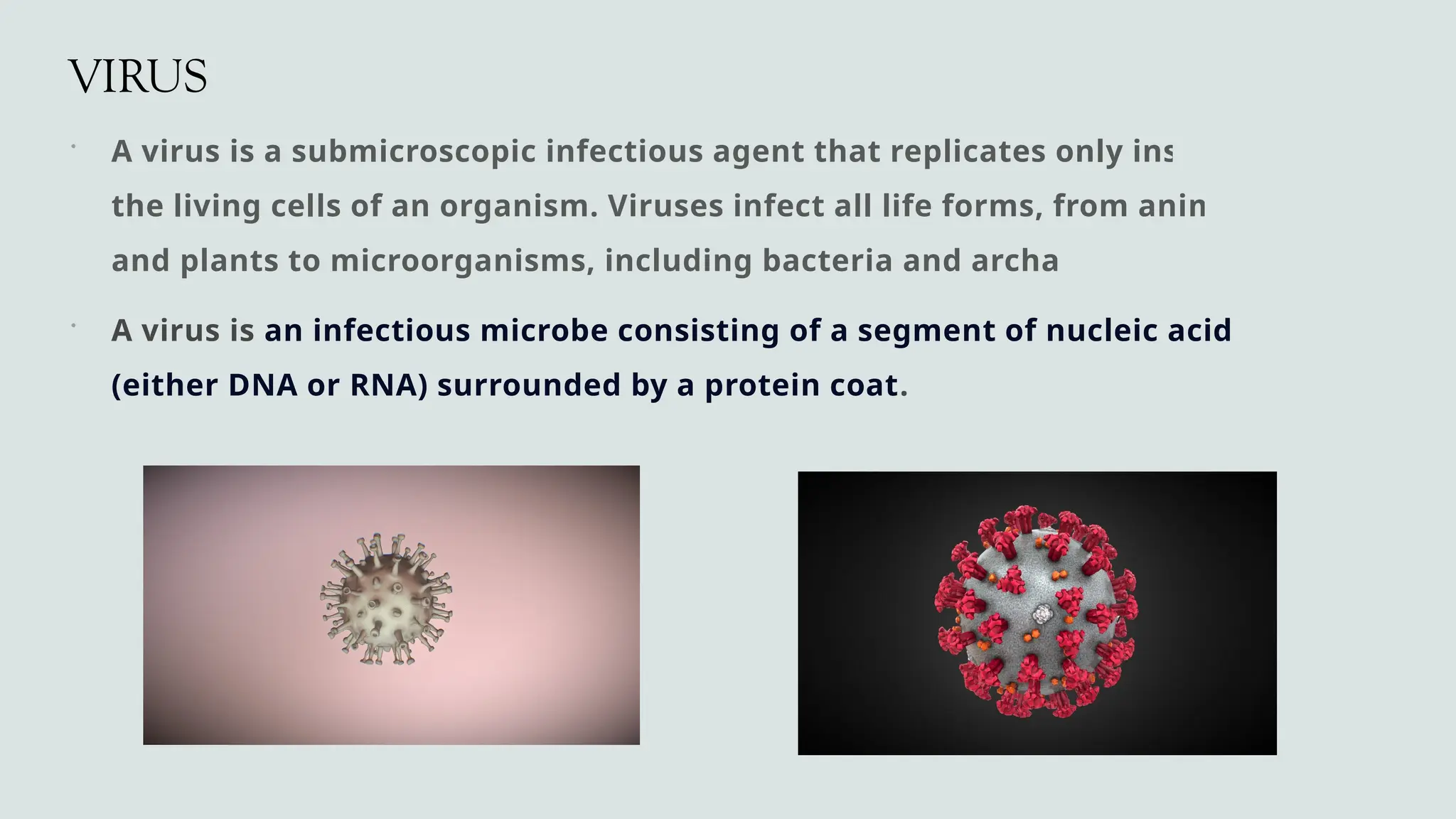 CLASSIFICATION AND NOMENCLATURE OF DNA VIRUSES | PPTX
