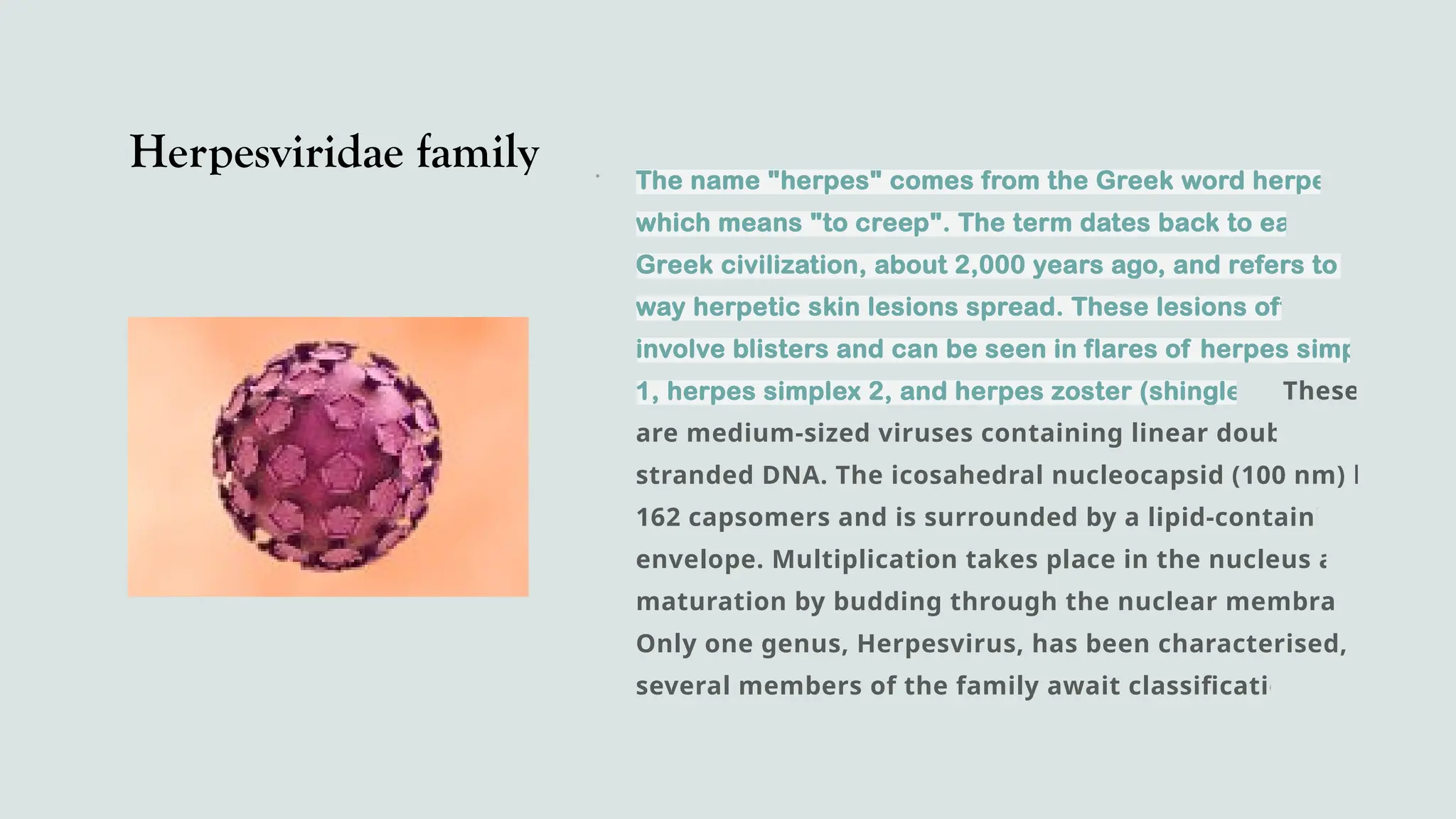CLASSIFICATION AND NOMENCLATURE OF DNA VIRUSES | PPTX