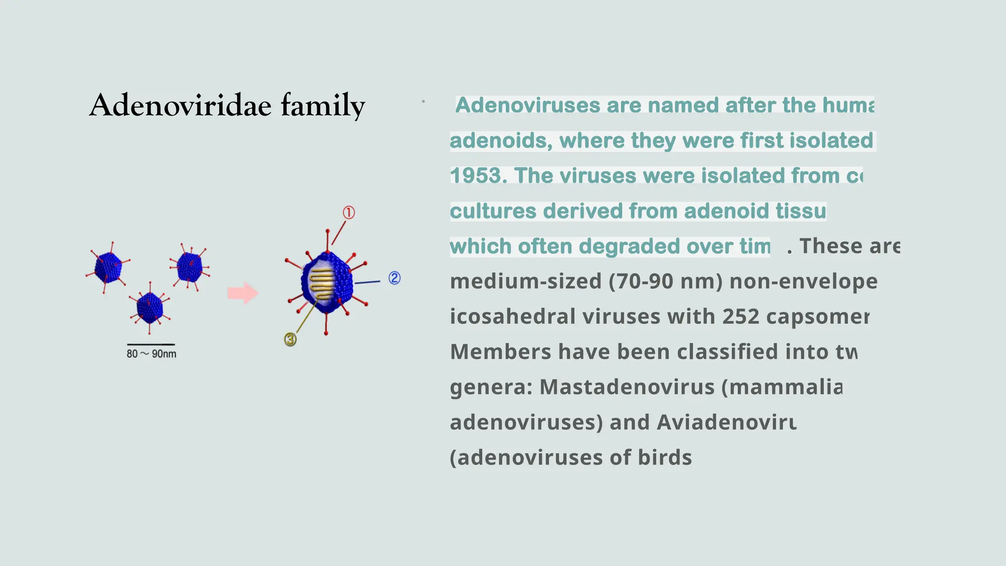 CLASSIFICATION AND NOMENCLATURE OF DNA VIRUSES | PPTX