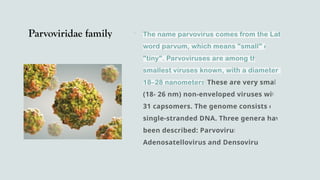 CLASSIFICATION AND NOMENCLATURE OF DNA VIRUSES | PPTX