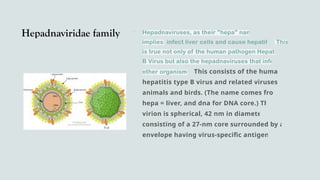 CLASSIFICATION AND NOMENCLATURE OF DNA VIRUSES | PPTX