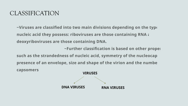 CLASSIFICATION AND NOMENCLATURE OF DNA VIRUSES | PPTX