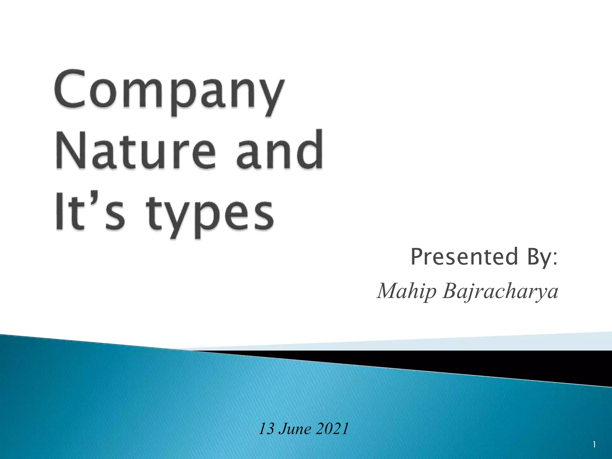 company nature and its types | PPTX