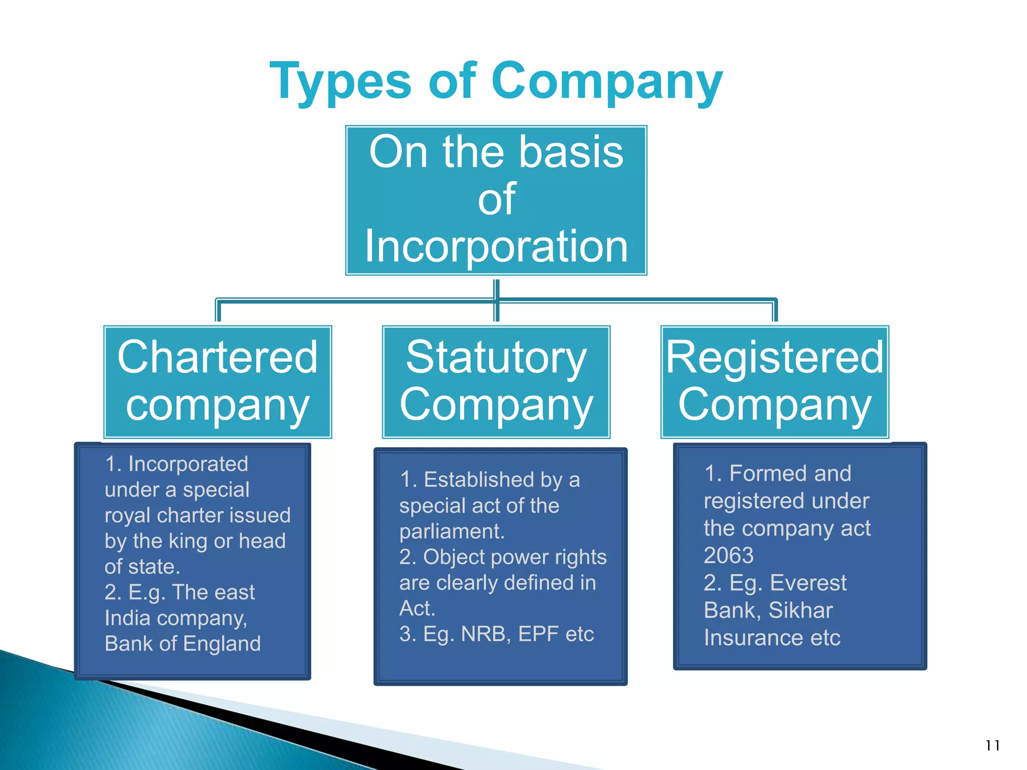 company nature and its types | PPTX