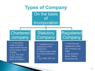 company nature and its types | PPTX