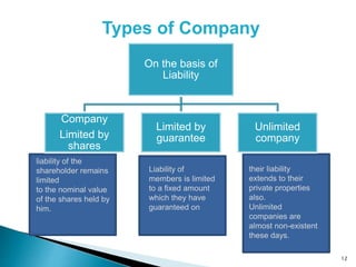 company nature and its types | PPTX