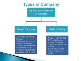 company nature and its types | PPTX
