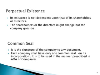 company nature and its types | PPTX