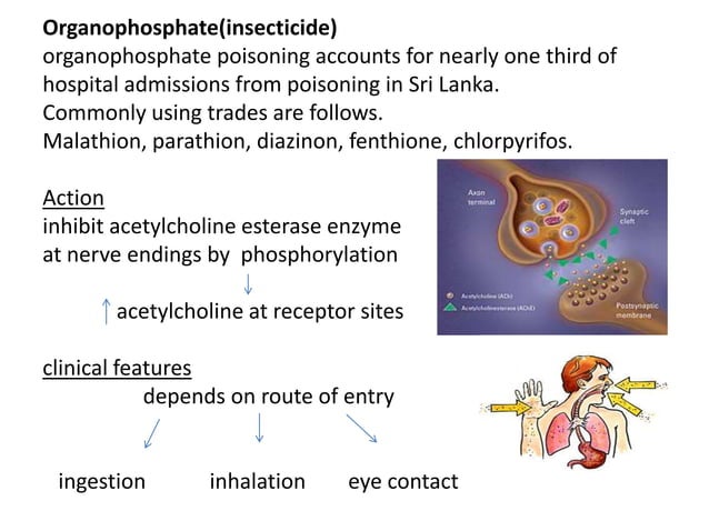 ORGANOPHOSPHATE POISONING AND MANAGEMENT | PPTX | Lung and Respiratory Health | Diseases and ...