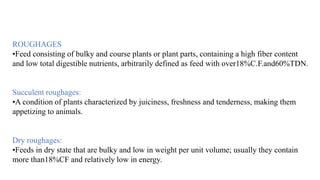 Presentation first An-202.pptx