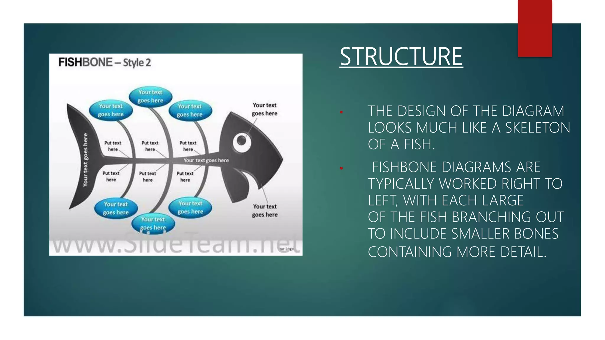 Presentation fish bone Diagram | PPTX