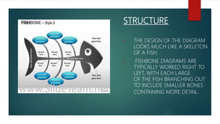 Presentation fish bone Diagram | PPTX
