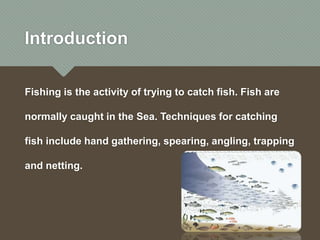 Fishing | PPTX