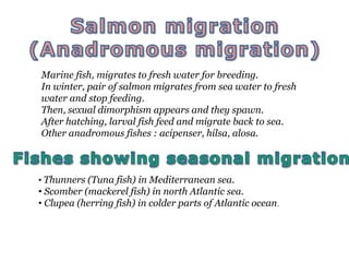 Presentation fish migration | PPTX | Fish and Aquariums | Pets