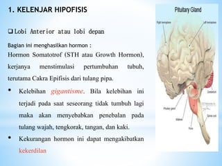 Presentation fisiologi (endokrin) | PPTX