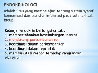 Presentation fisiologi (endokrin) | PPTX