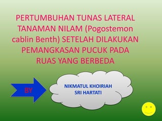 PERTUMBUHAN TUNAS LATERAL NILAM RESEARCH-NIKMATUL K. | PPTX