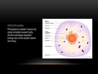 STRUKTUR SEL - MORFISTUM | PPT