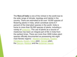 Presentation Flora.pptx | Gardening | Home & Garden