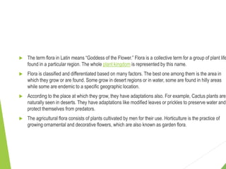 Presentation Flora.pptx | Gardening | Home & Garden