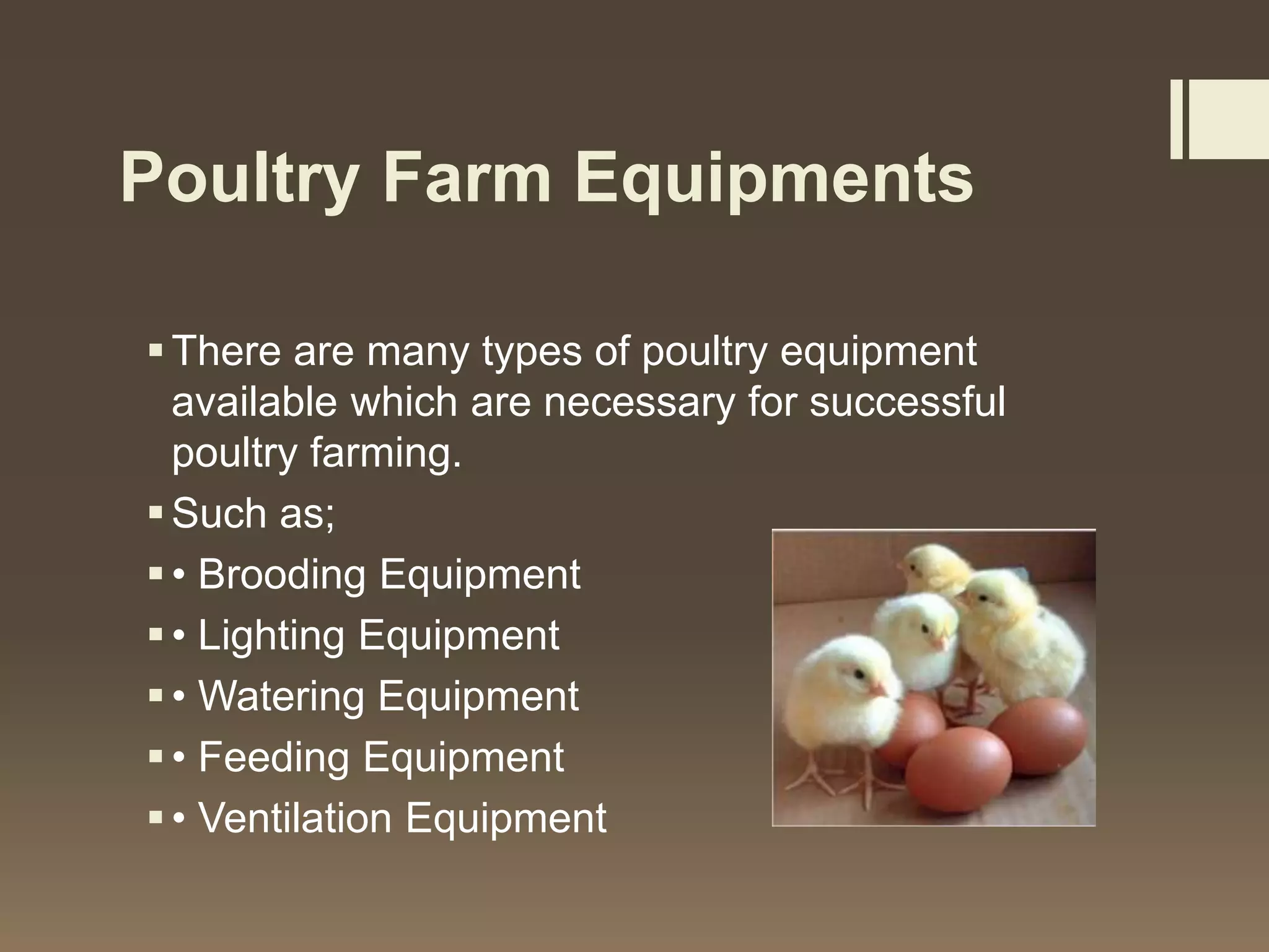 poultry farm equipments and their uses | PPTX