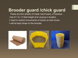 poultry farm equipments and their uses | PPTX