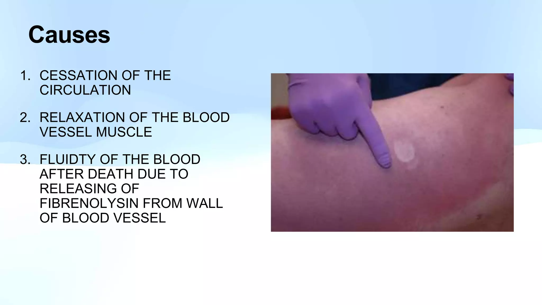 Presentation fmt.pptx