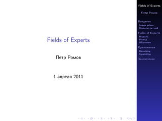 Fields of Experts (доклад) | PPT