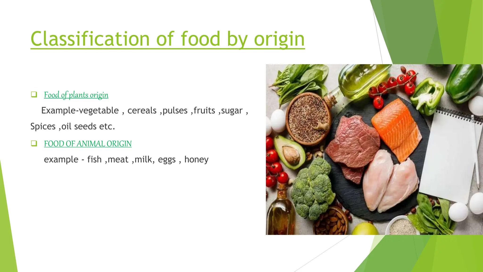 Presentation of food and nutrition website.pptx